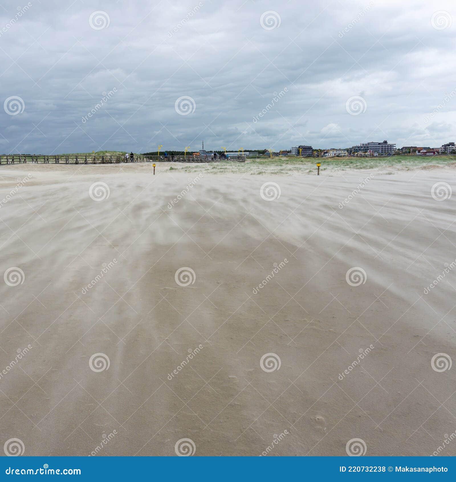 Beautiful Idyllic Beach with a Strong Wind Whipping Sand Along Stock ...