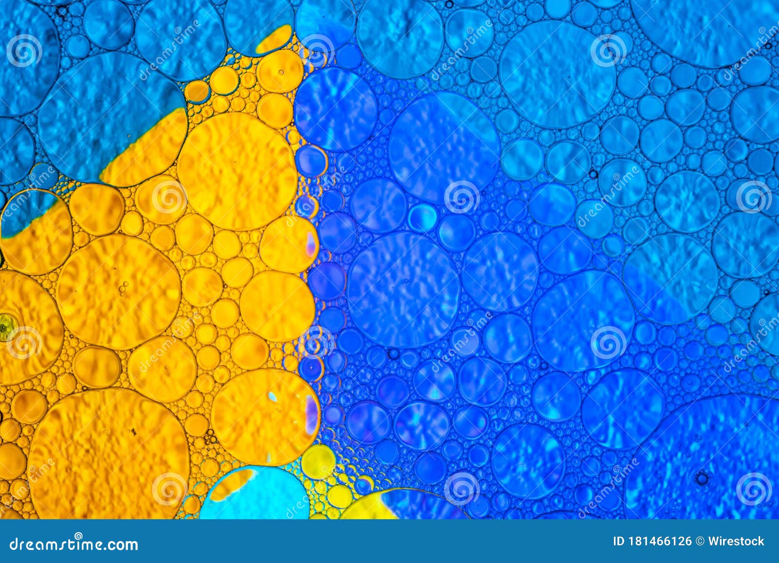 Beautiful Illustration of Mixed Blue, and Yellow Circles Stock Photo ...