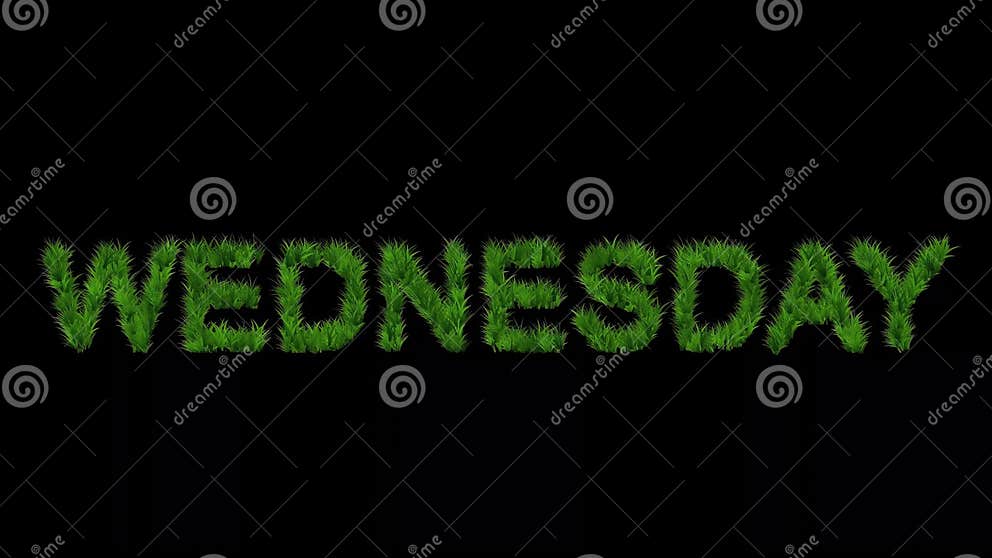 Beautiful Illustration of Wednesday Text with Green Grass Effect on ...