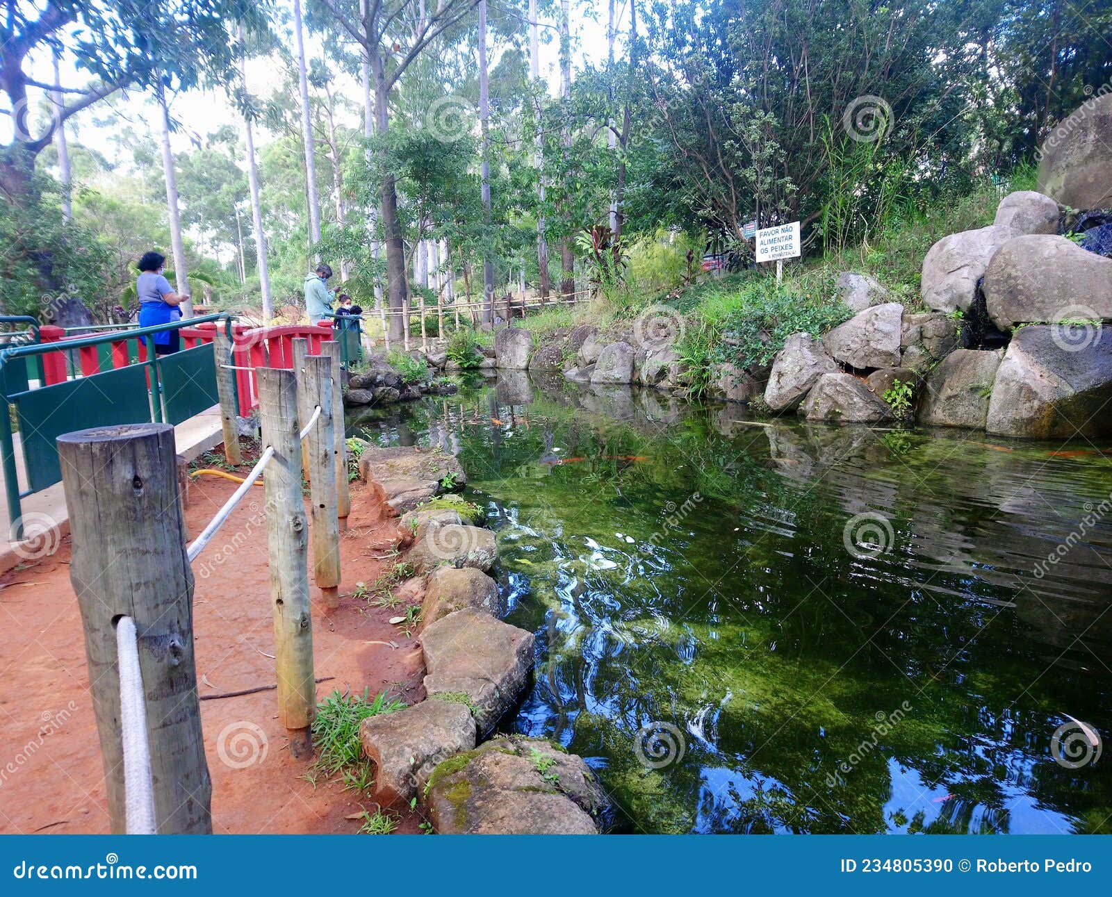 Beautiful Image of a Lake in an Ecological Park Editorial Image - Image ...