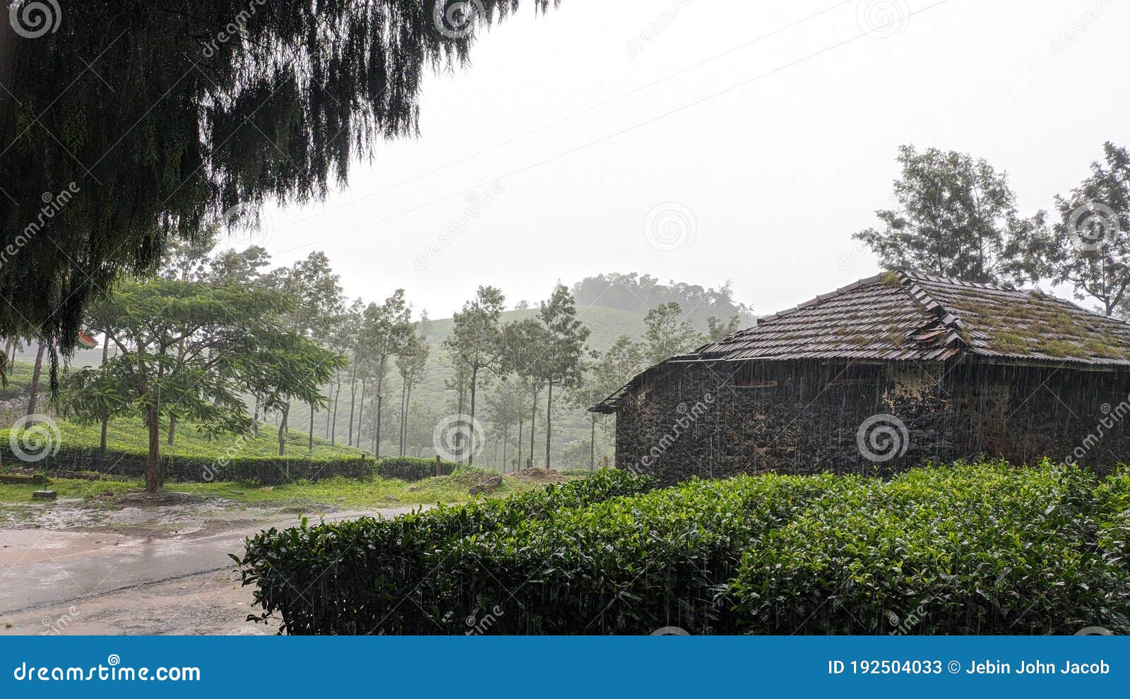 Beautiful Image of Mist, Nature and Rain Stock Image - Image of home ...