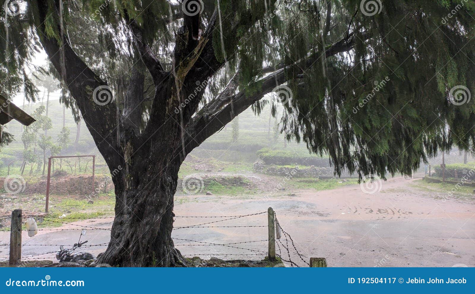 Beautiful Image of Mist, Nature and Rain Stock Image - Image of mist ...