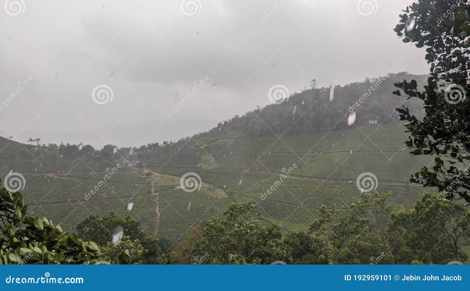 Beautiful Image of Mist, Nature and Rain Stock Image - Image of snow ...