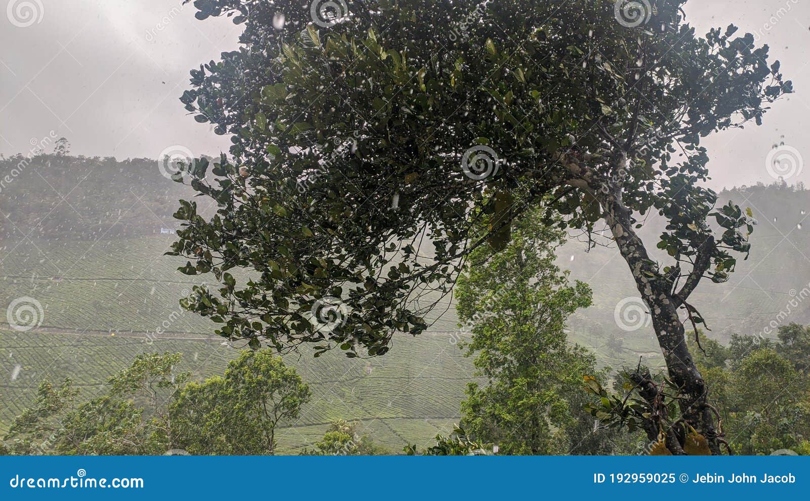 Beautiful Image of Mist, Nature and Rain Stock Image - Image of mist ...