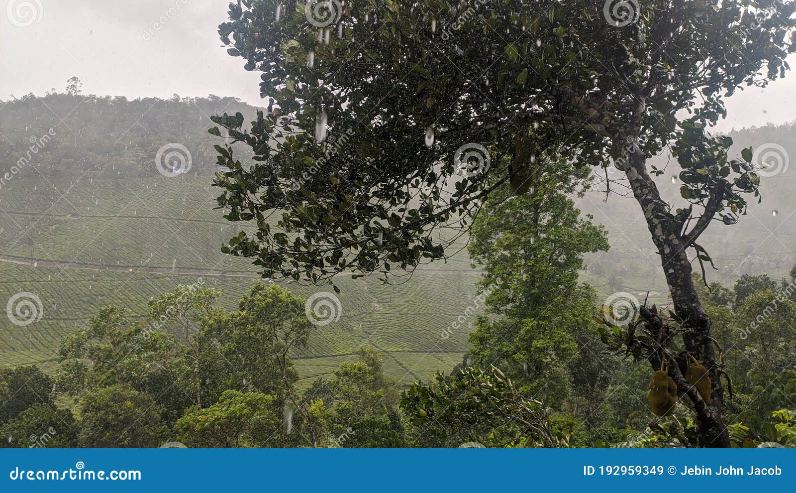 Beautiful Image of Rainfall Stock Image - Image of green, hill: 192959349