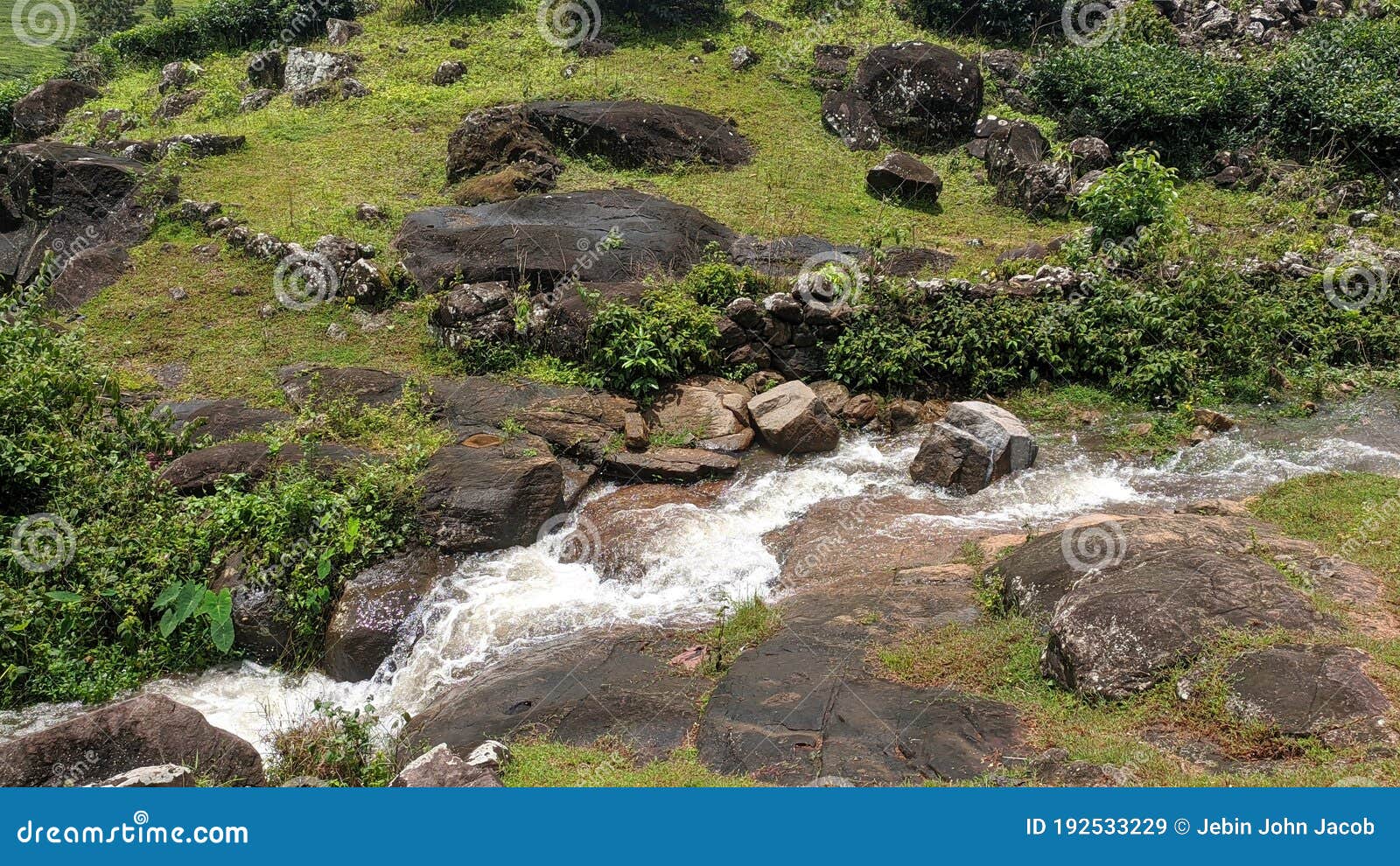 Beautiful Image of Small River Stock Image - Image of wilderness ...