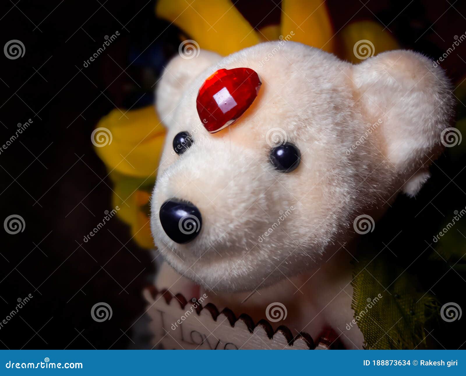 Beautiful Image of Teddy Emotion Stock Photo - Image of portrait, head ...