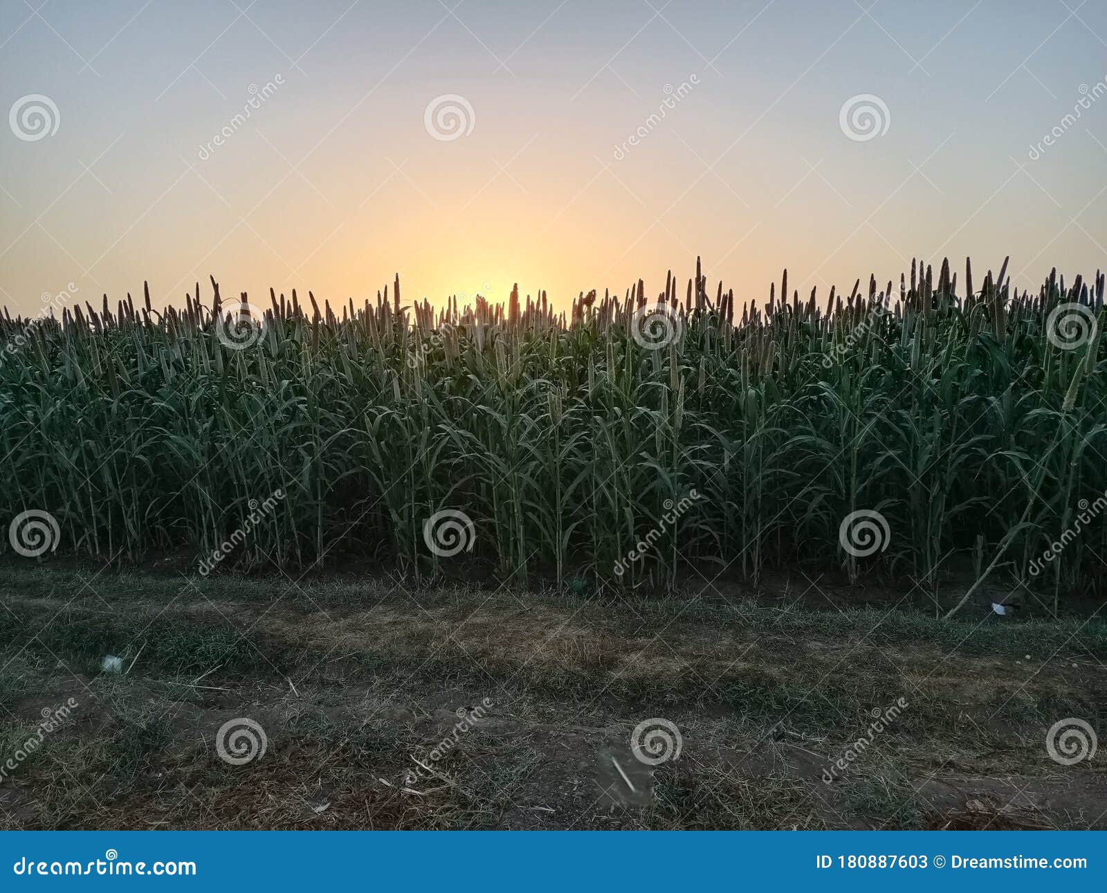 Beautiful Indian Farm Under Sunset Stock Image - Image of beautiful ...