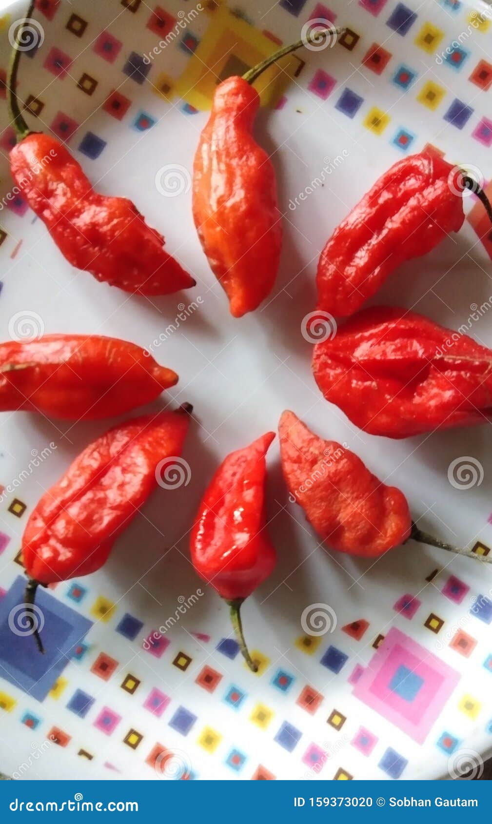 Beautiful Indian Red Chilli Stock Photo - Image of tasty, color: 159373020