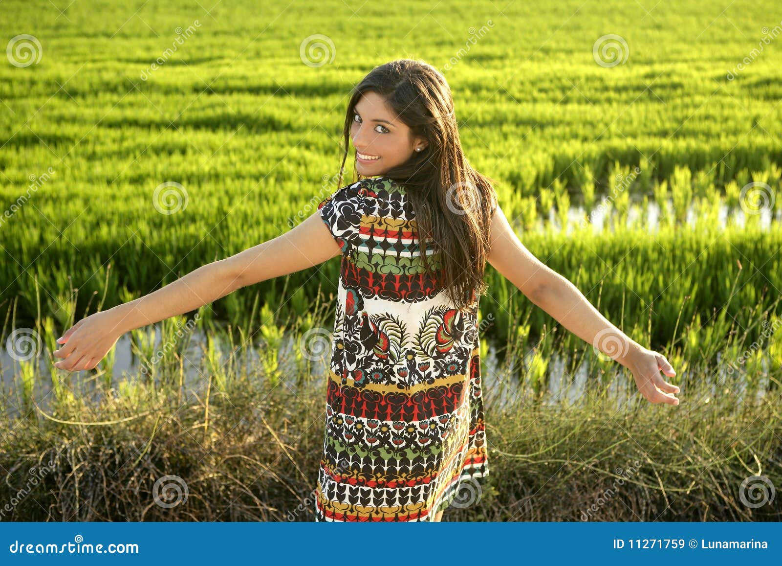 Beautiful Indian Woman in Green Rice Fields Stock Image - Image of ...