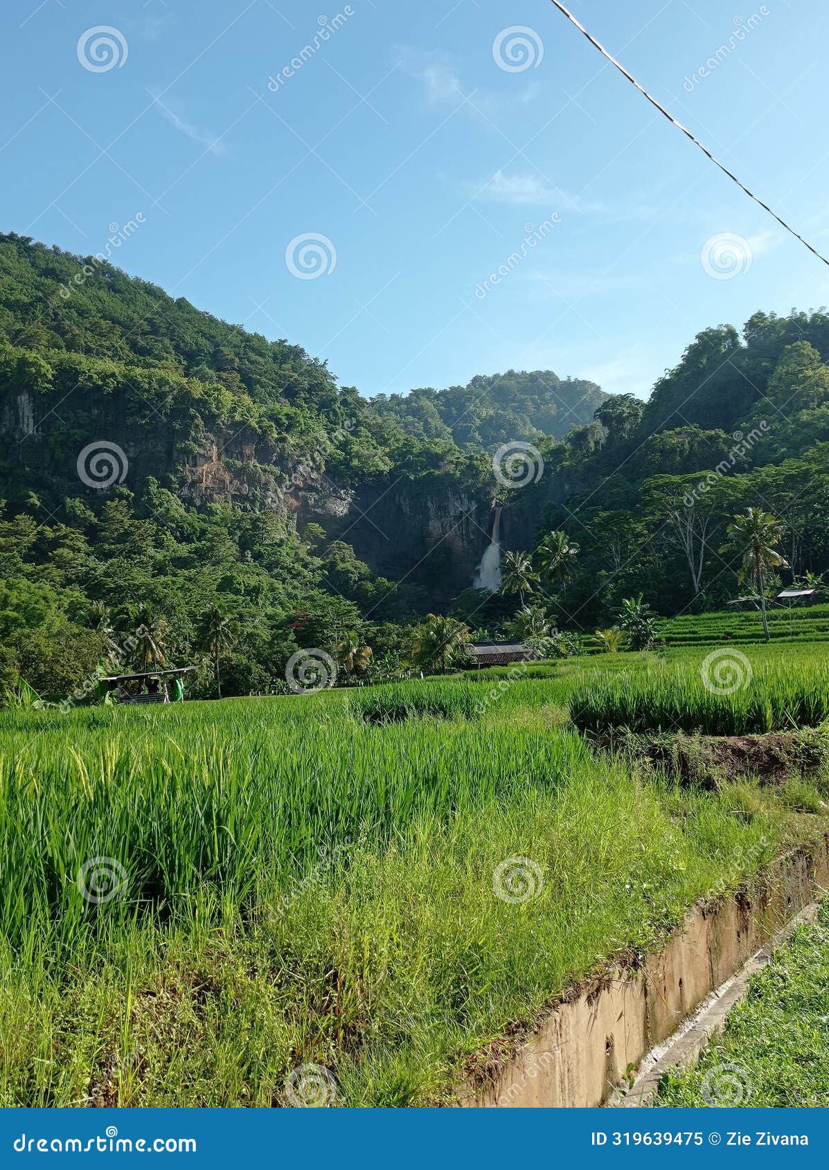 Beautiful Indonesian Forests Stock Image - Image of trees, mountains ...
