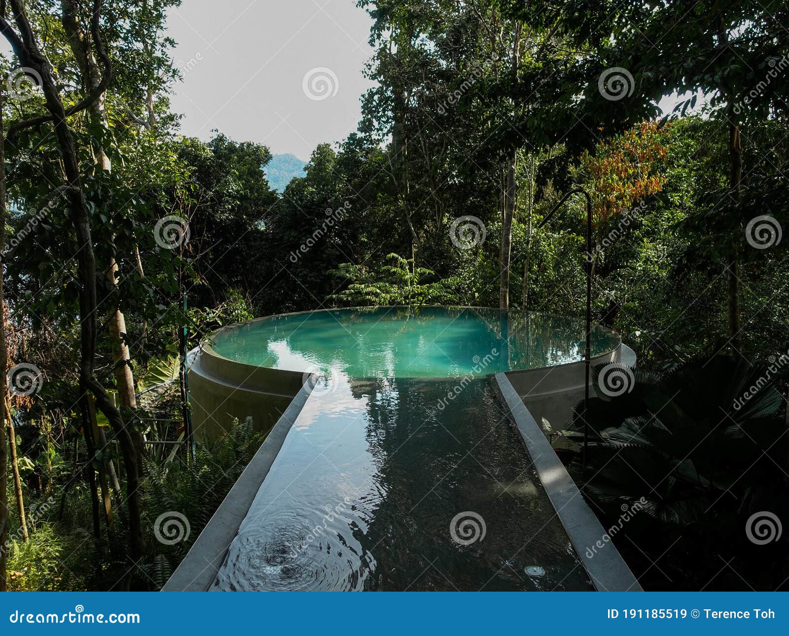 A Beautiful Infinity Pool in the Jungle Stock Image - Image of outdoor ...