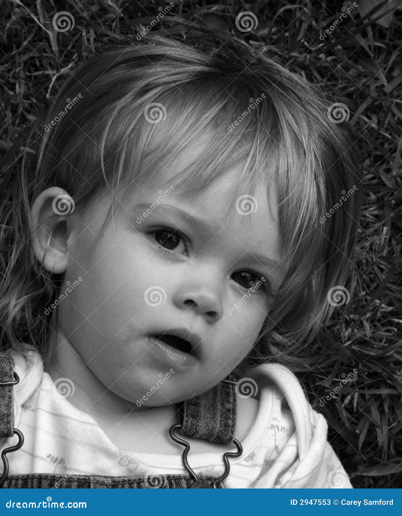 Beautiful Innocent Eyes stock image. Image of girl, child - 2947553