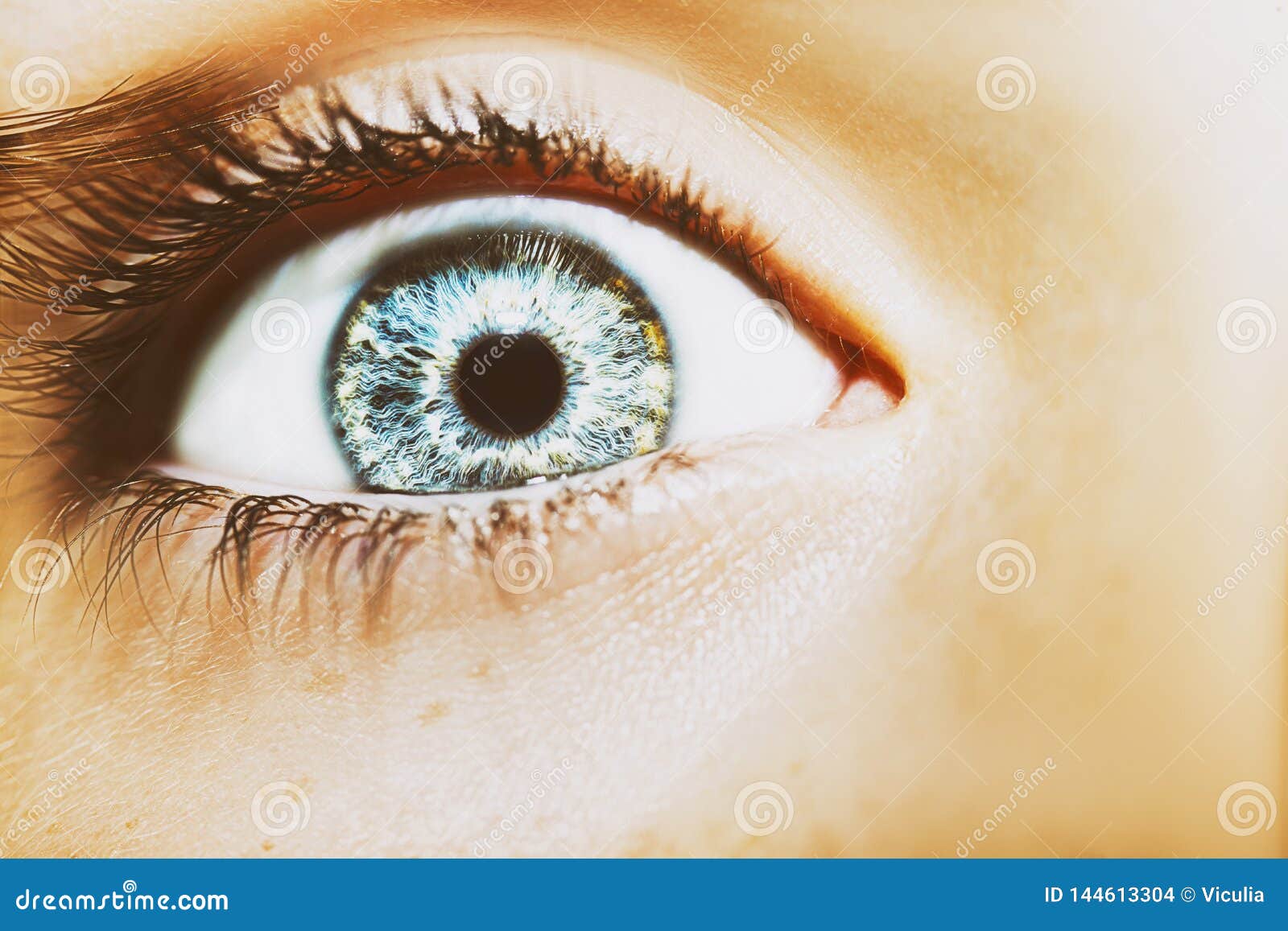 A Beautiful Insightful Look Eye. Close Up Shot Stock Photo - Image of ...