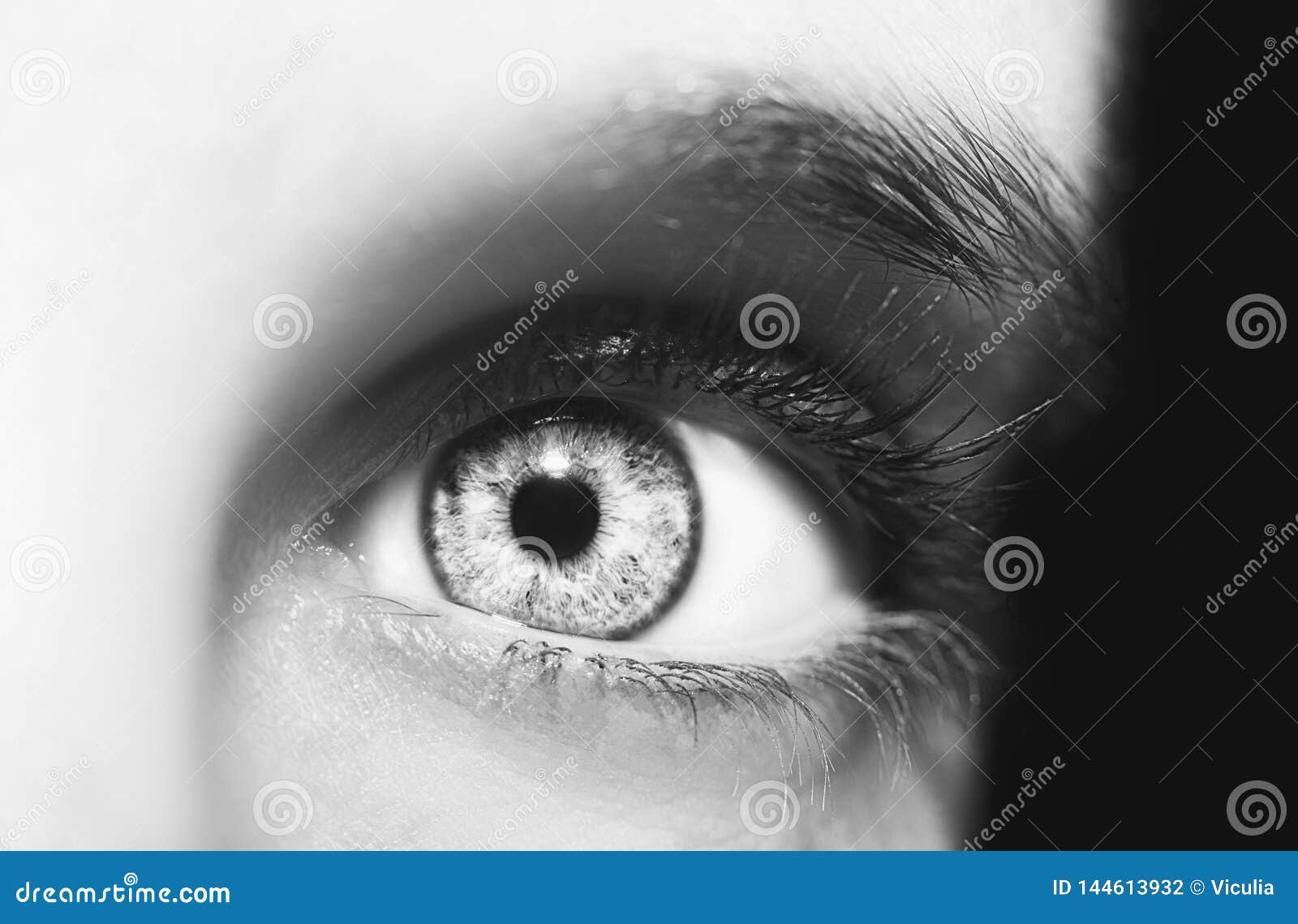 A Beautiful Insightful Look Eye. Close Up Shot Stock Photo - Image of ...