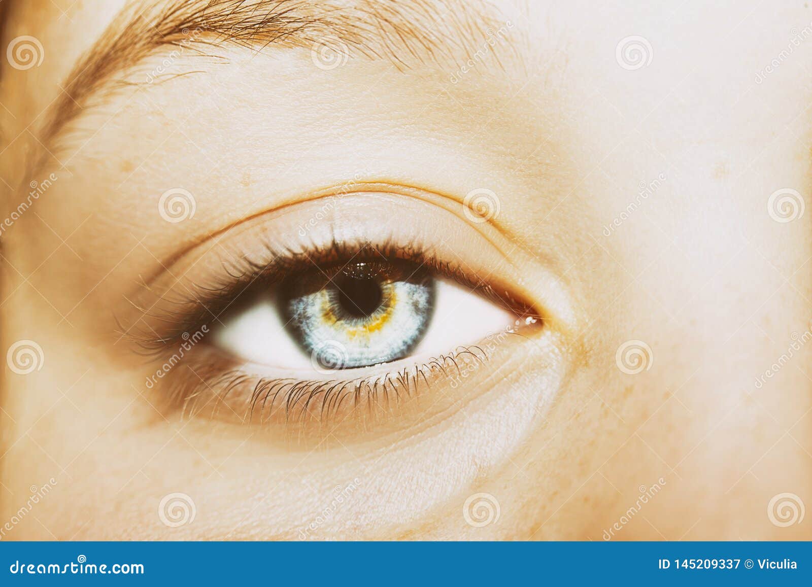 A Beautiful Insightful Look Eye. Close Up Shot Stock Image - Image of ...