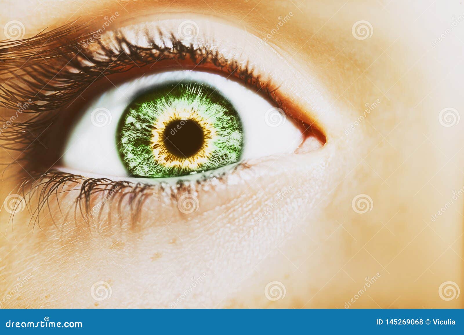 A Beautiful Insightful Look Eye. Close Up Shot Stock Photo - Image of ...