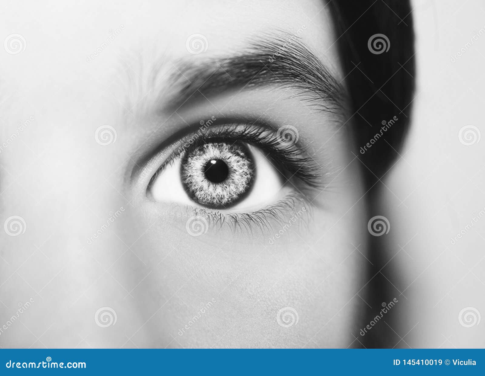 A Beautiful Insightful Look Eye. Close Up Shot Stock Image - Image of ...
