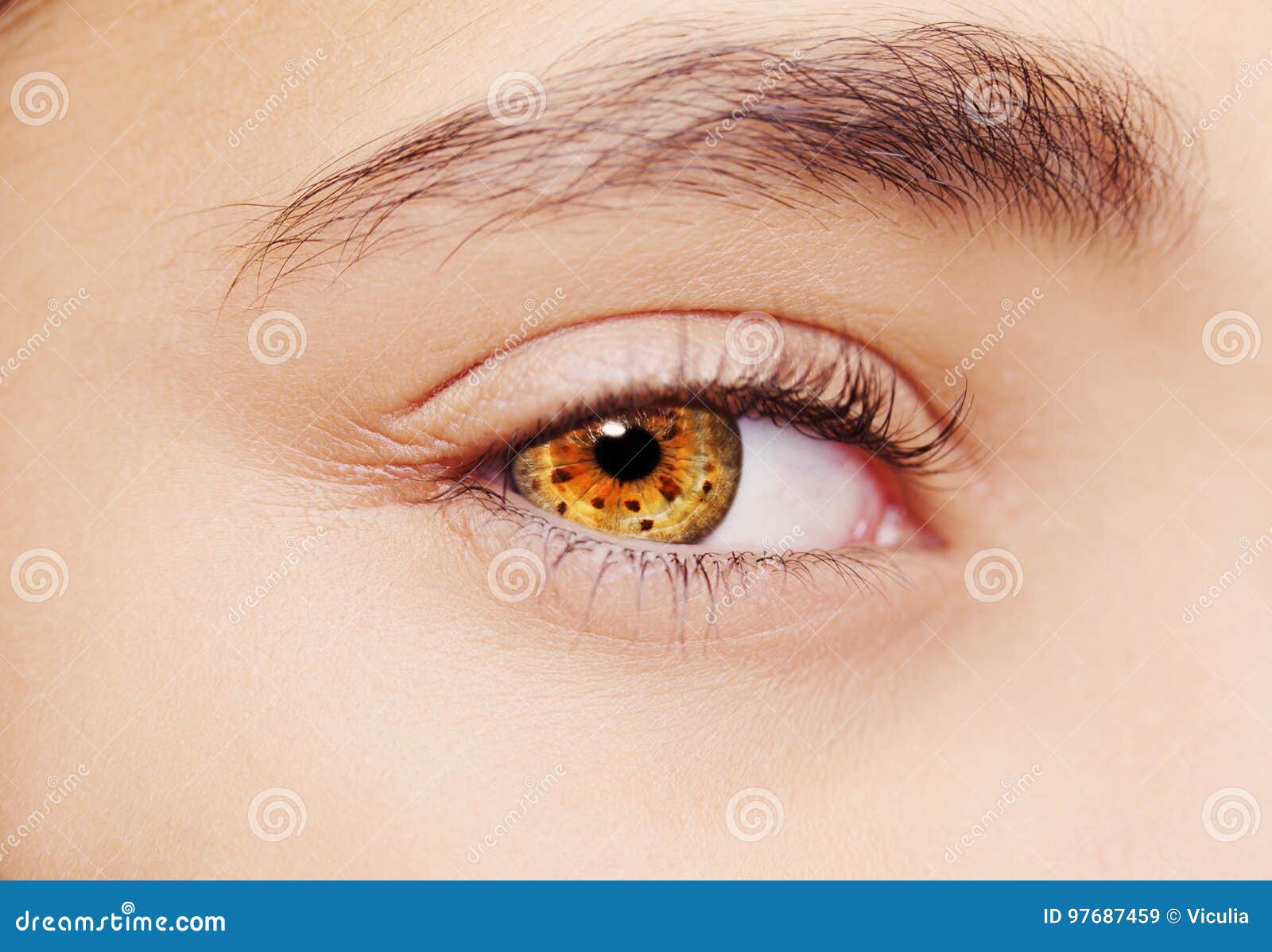 A Beautiful Insightful Look Eye. Stock Image - Image of human, contact ...
