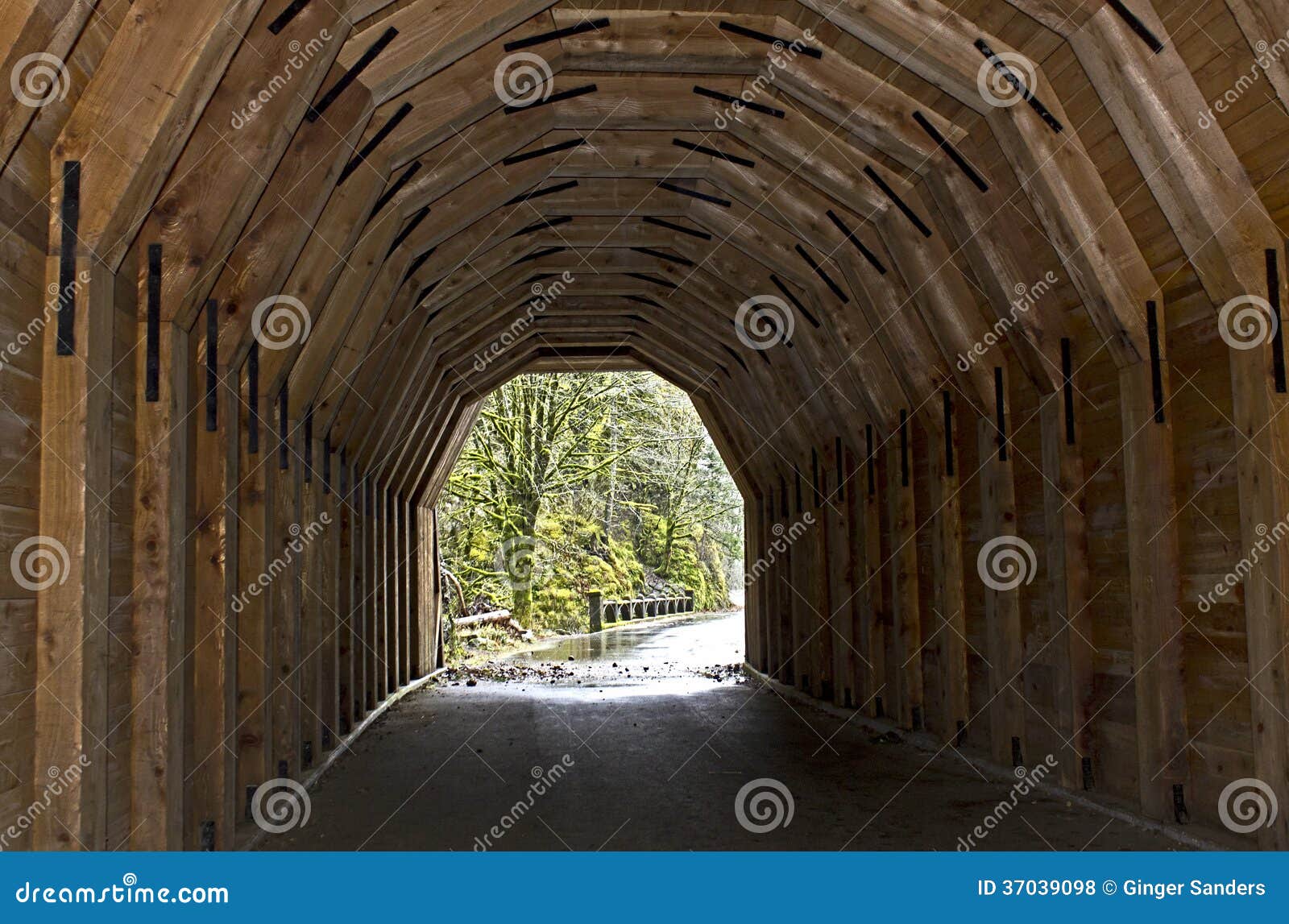 Beautiful Interior of Wooden Tunnel Stock Photo - Image of outdoors ...