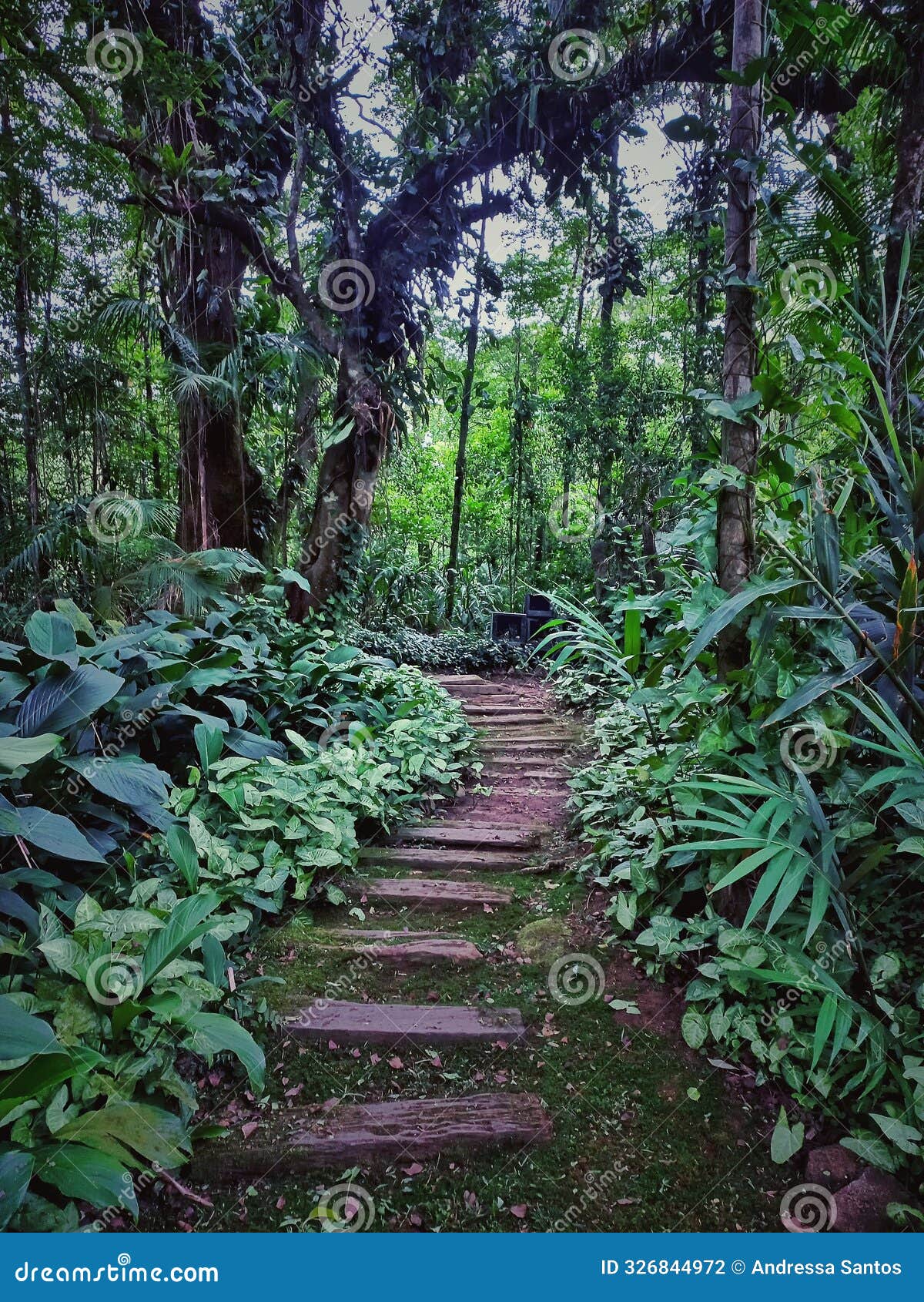Beautiful and Intriguing Stone Path in the Middle of Nature. Stock ...
