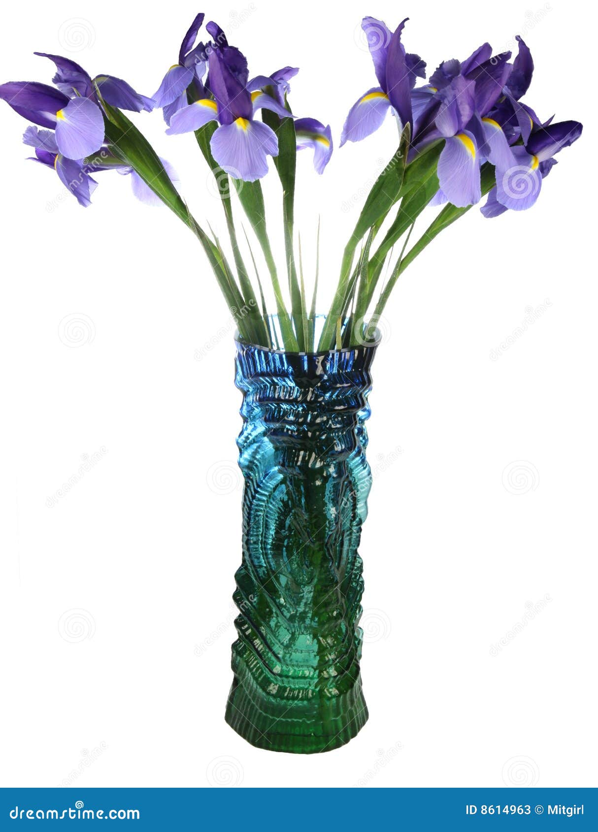 Beautiful Iris Bouquet in a Glass Stock Image - Image of bloom, green ...