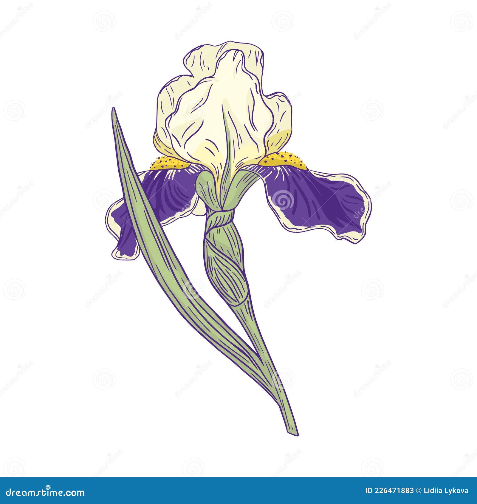 Iris One Line Drawing. Continuous Line Flower. Hand-drawn Print For ...