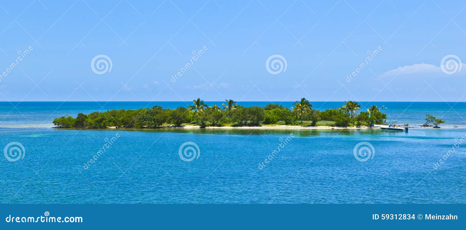 Beautiful Islands in the Keys Stock Photo - Image of coast, palm: 59312834