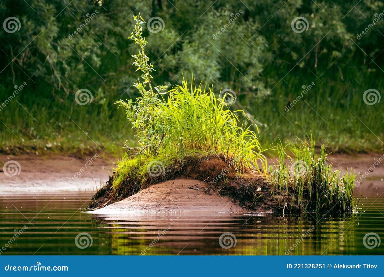 A Beautiful Islet with Green Grass on the River. Stock Image - Image of ...