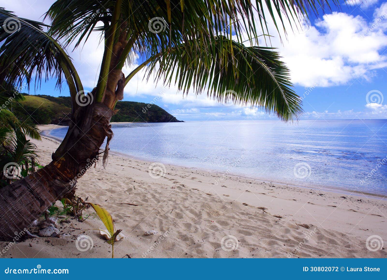 Beautiful Isolated Beach stock photo. Image of hang, dreaming - 30802072
