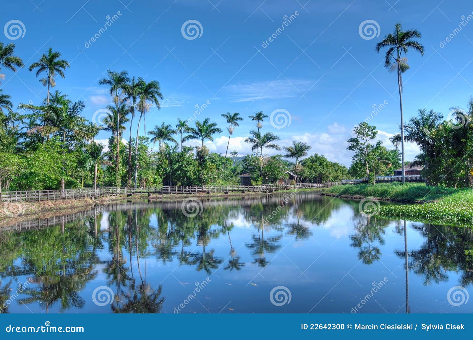 Beautiful Jamaican Landscape Stock Photo - Image of view, water: 22642300