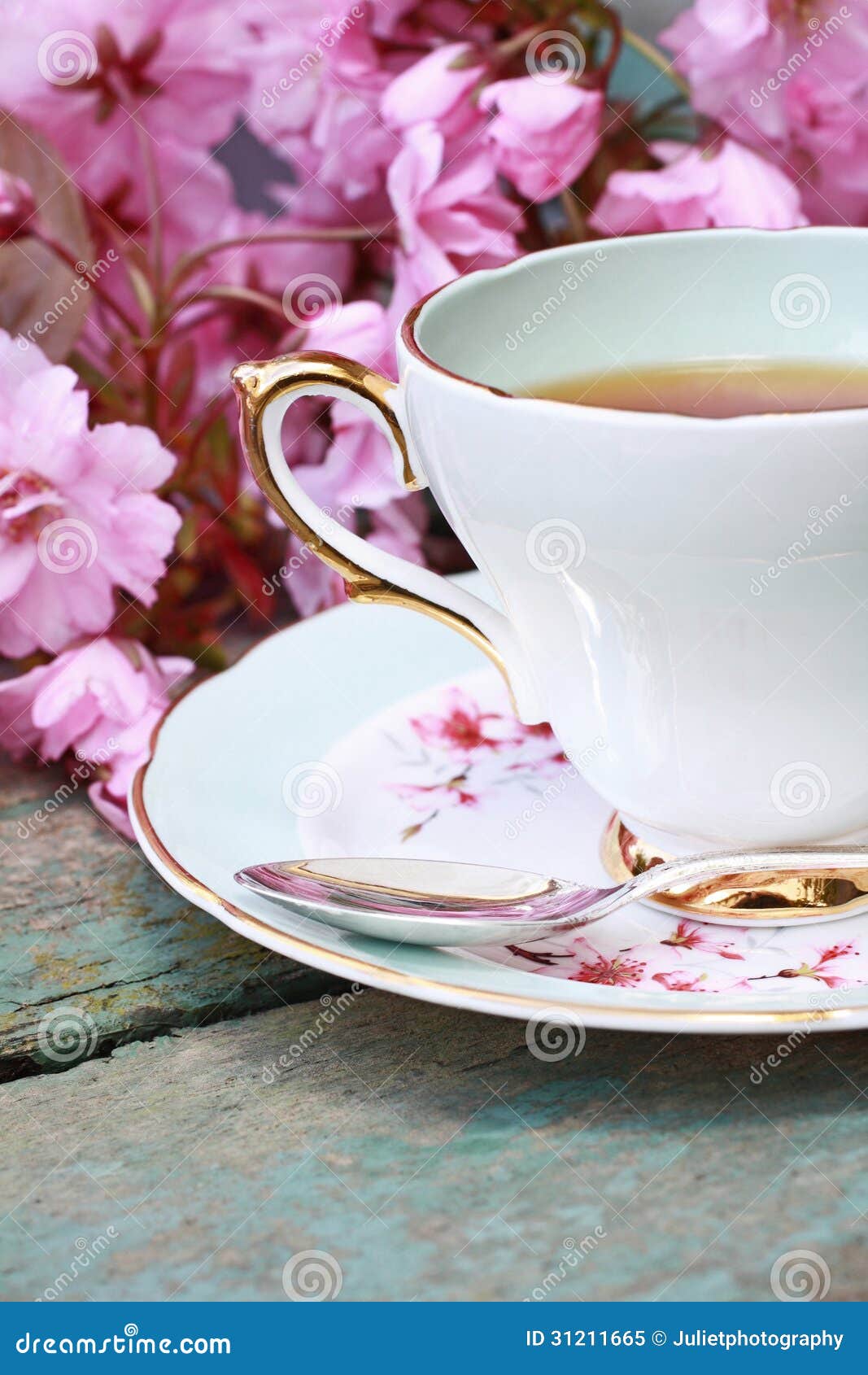 Beautiful Japanese Cherry Tree and a Cup of Tea Stock Image - Image of ...