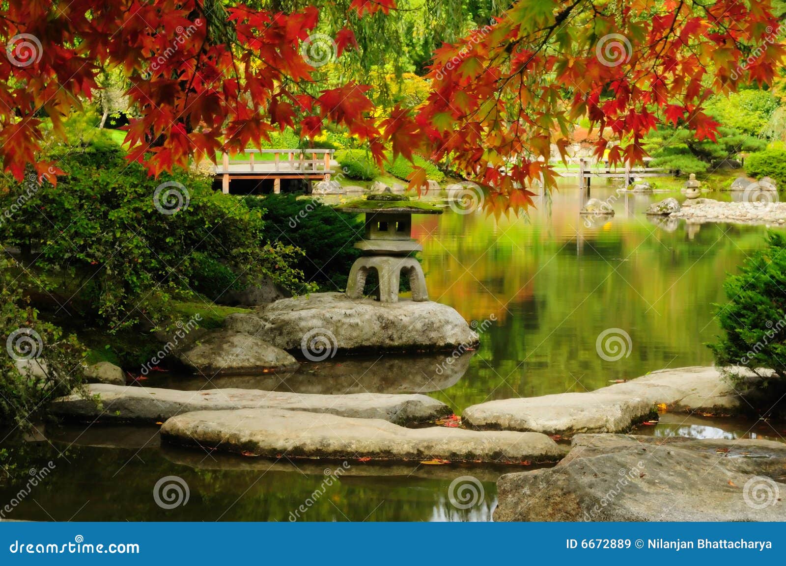Beautiful Japanese Garden in Autumn Stock Image - Image of autumn ...