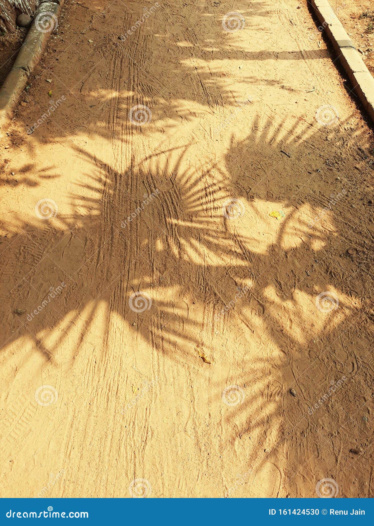 Beautiful Jogging Path in Park Stock Photo - Image of park, jogging ...