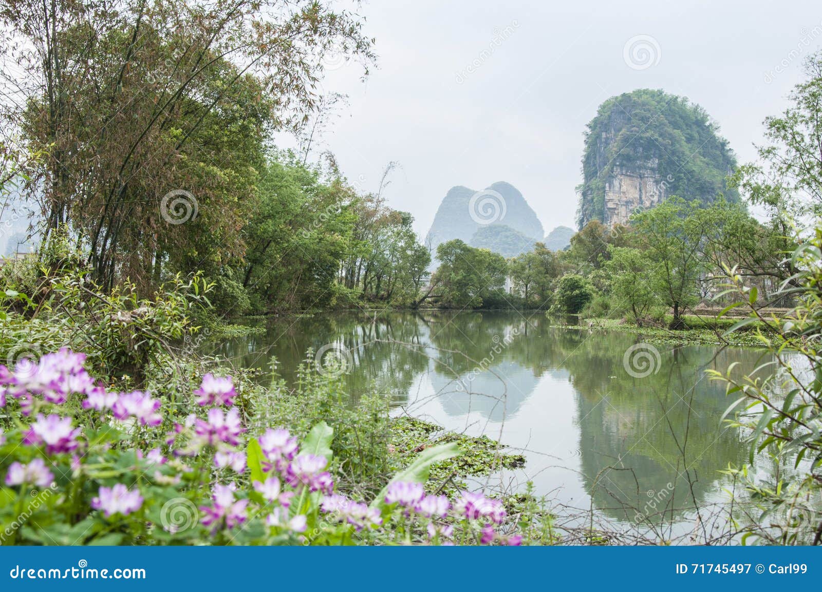 Beautiful Karst Rural Scenery in Spring Stock Image - Image of tour ...