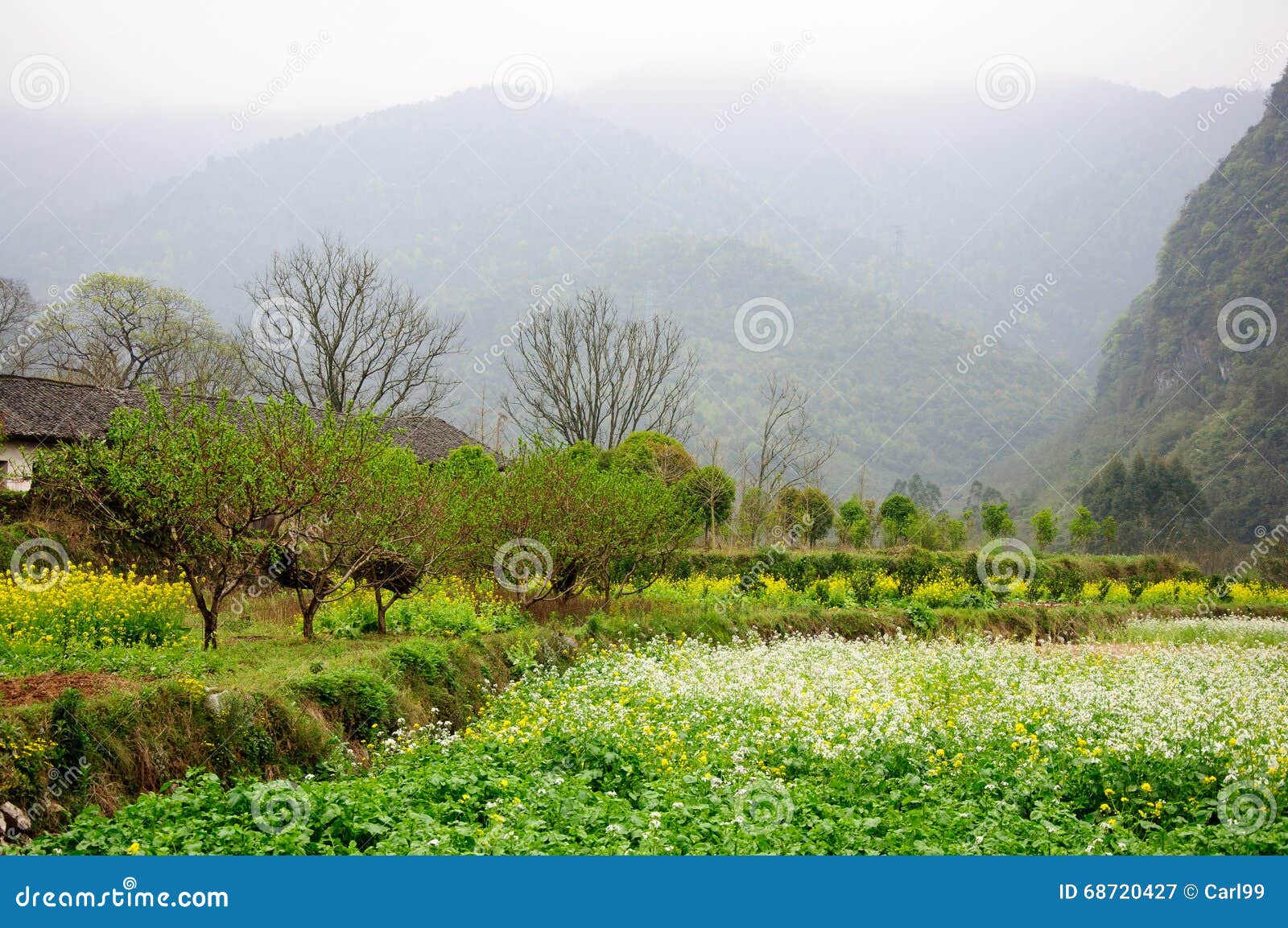 Beautiful Karst Rural Scenery in Spring Stock Image - Image of beauty ...