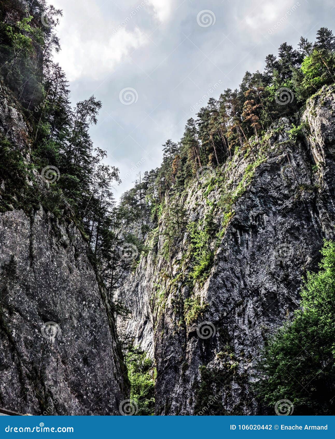 Beautiful Keys stock photo. Image of green, beautiful - 106020442