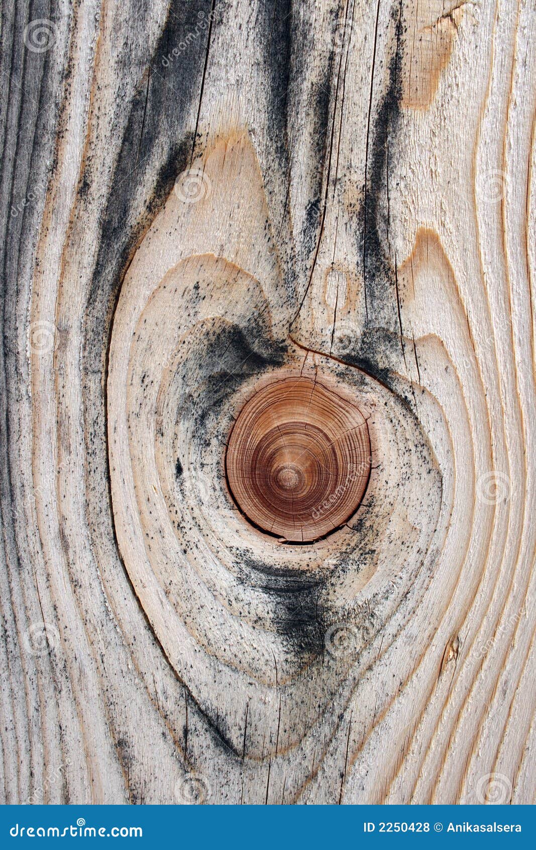 Beautiful Knotty Wood Texture Stock Photo - Image of detail, vertical ...