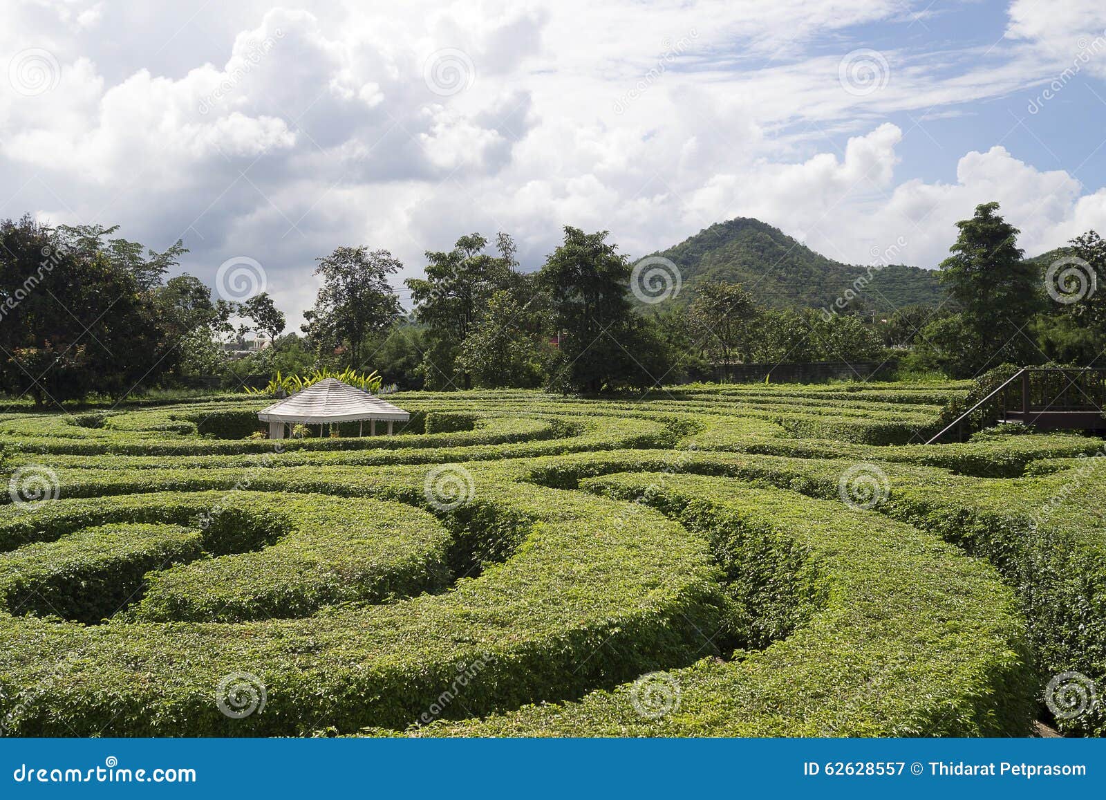 Beautiful Labyrinth, Maze Design in Garden of the Park Stock Image ...