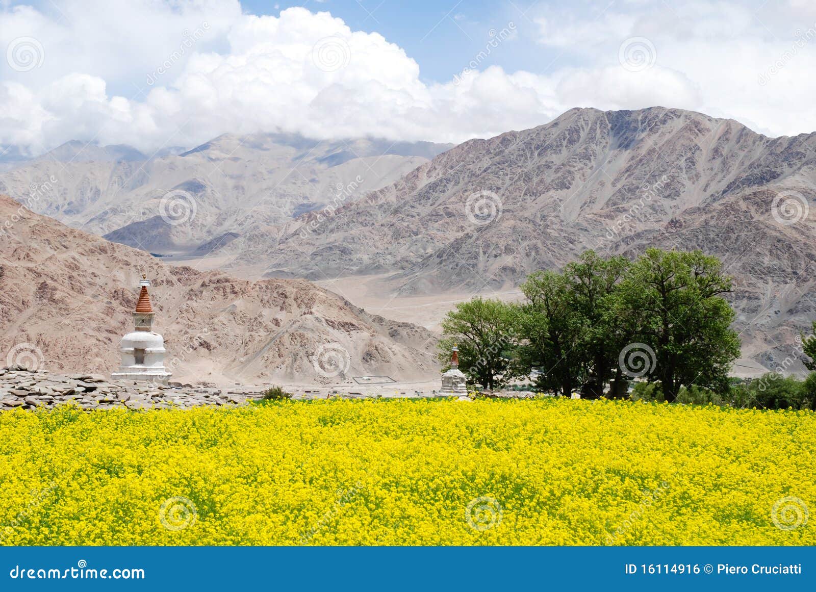 Beautiful Ladakh landscape stock photo. Image of mountain - 16114916