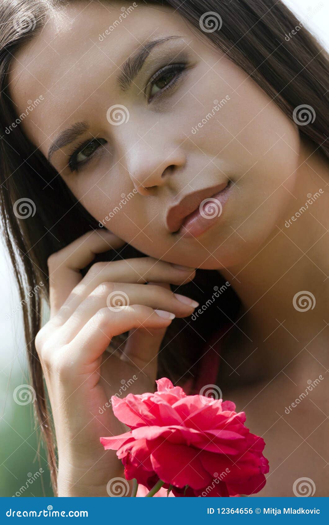 Beautiful lady with rose stock photo. Image of cute, beauty - 12364656