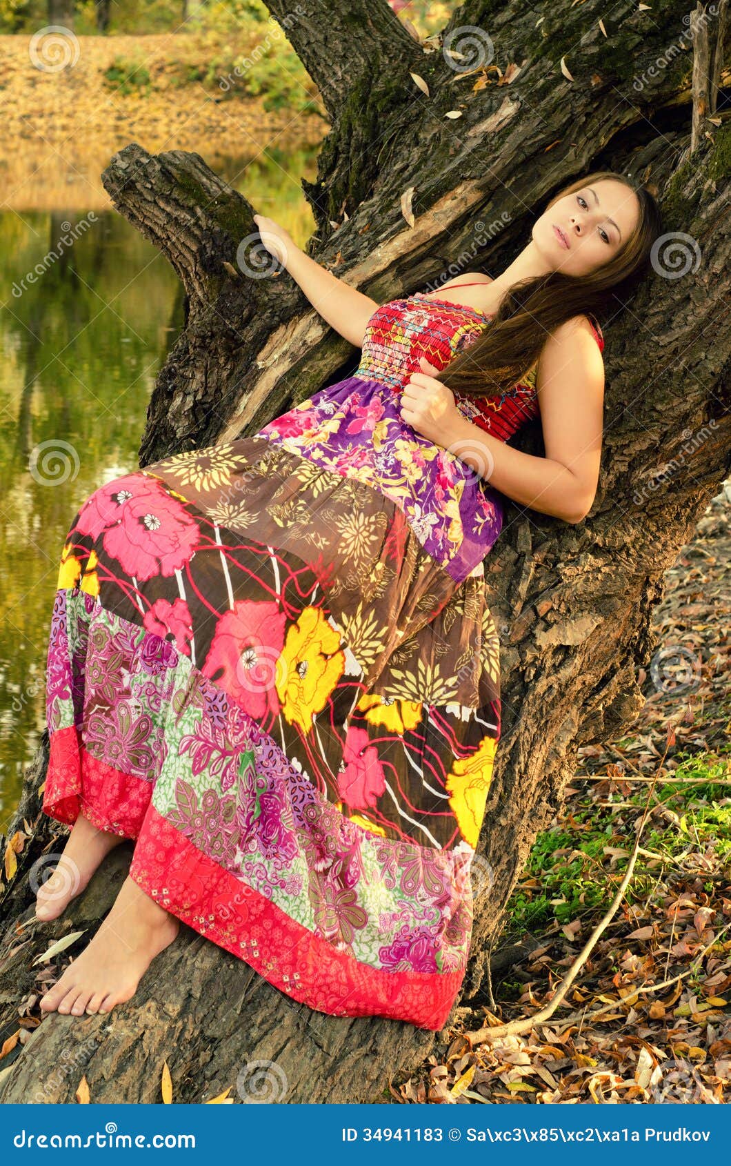 Beautiful Lady Sitting on the Tree Stock Image - Image of beautiful ...