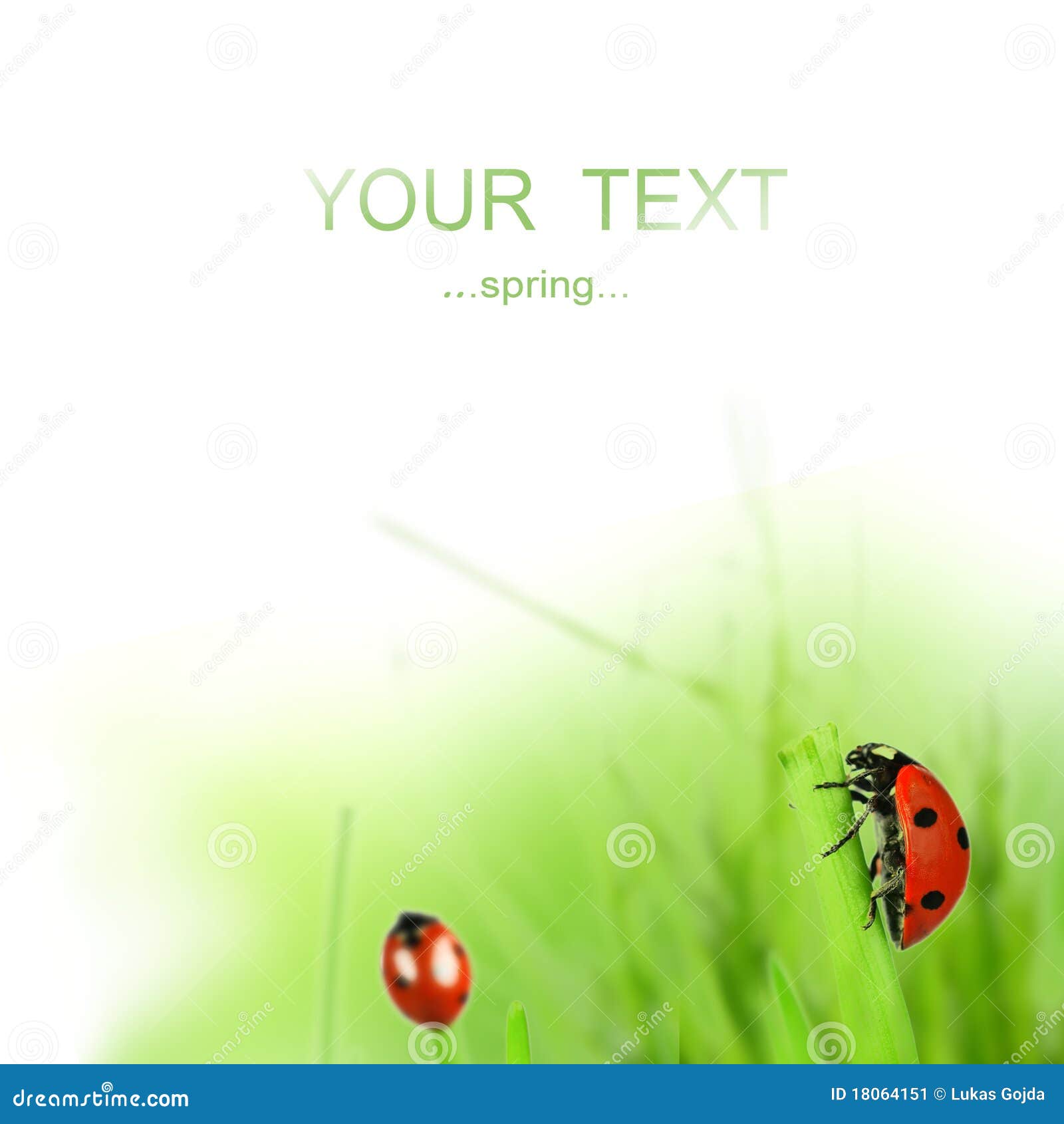 Beautiful Ladybugs Background Stock Image - Image of green, biology ...