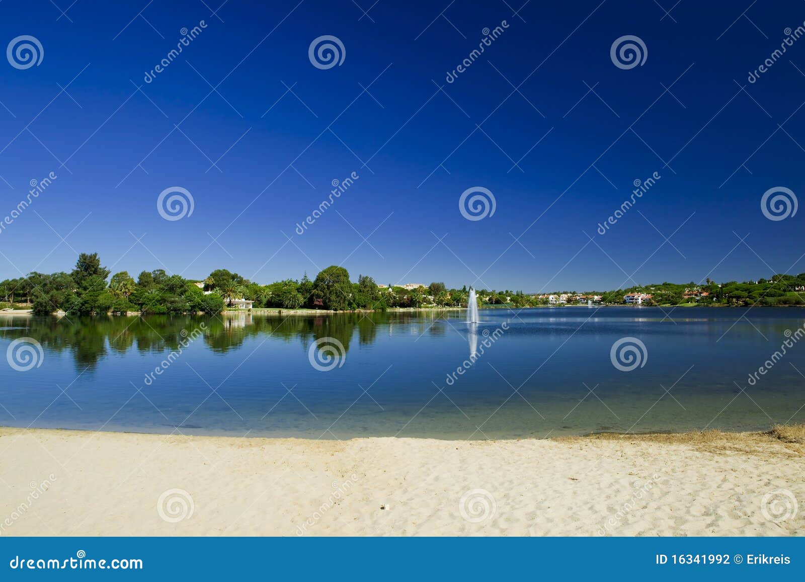 Beautiful lagoon stock photo. Image of forest, bright - 16341992