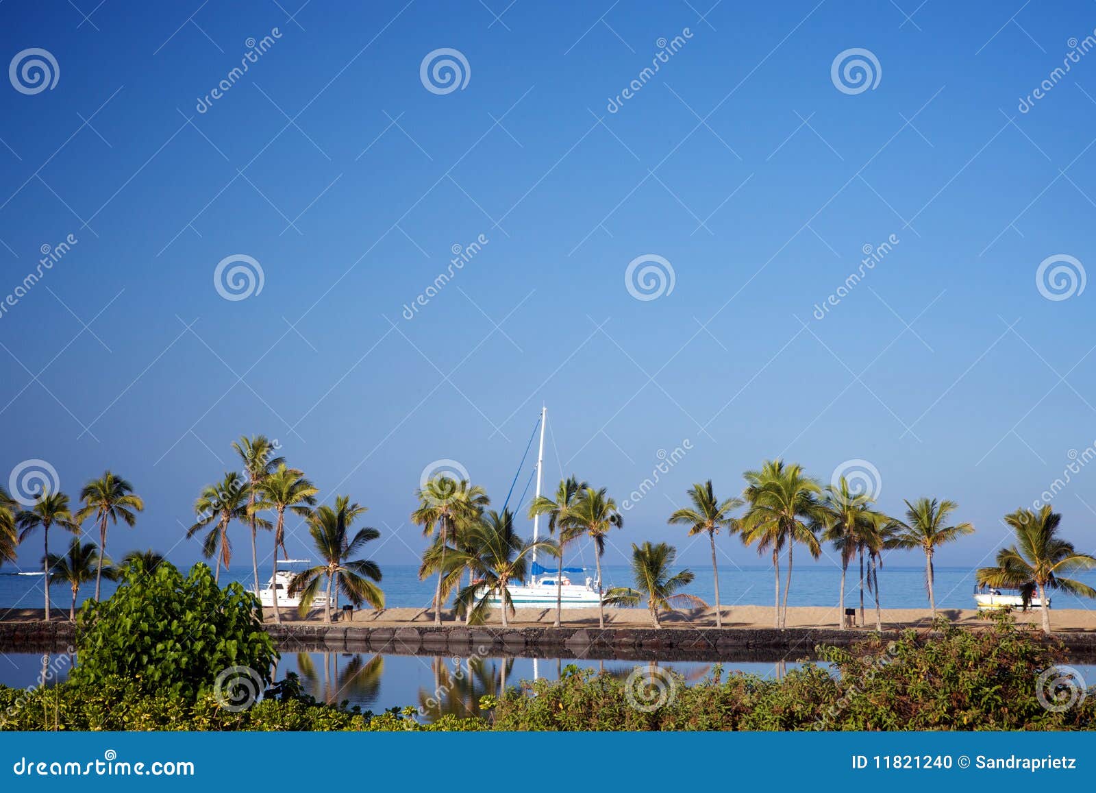 Beautiful Laguna with Palm Trees, Blue Sky Stock Photo - Image of palm ...