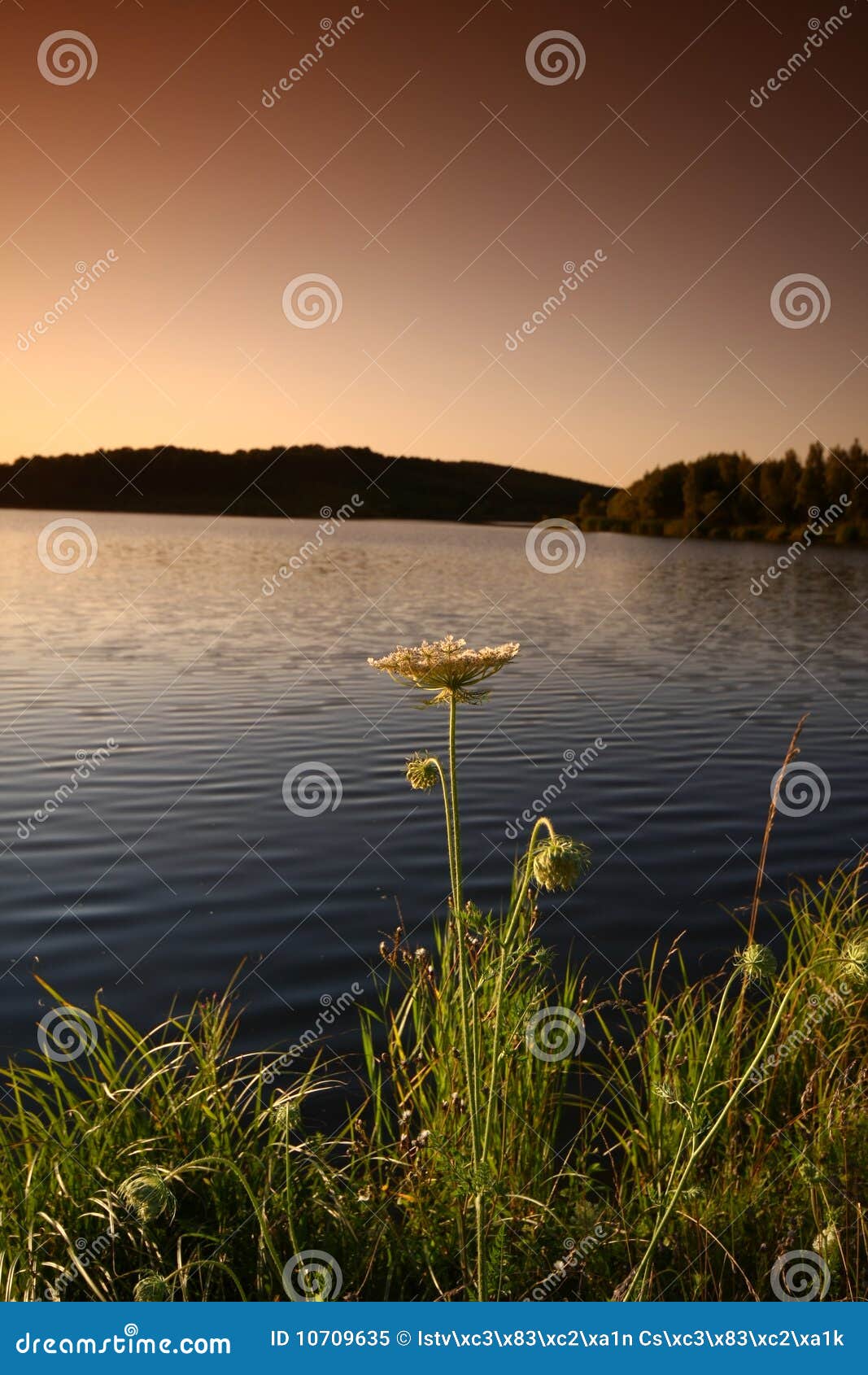 Beautiful lake stock image. Image of lovely, backdrop - 10709635