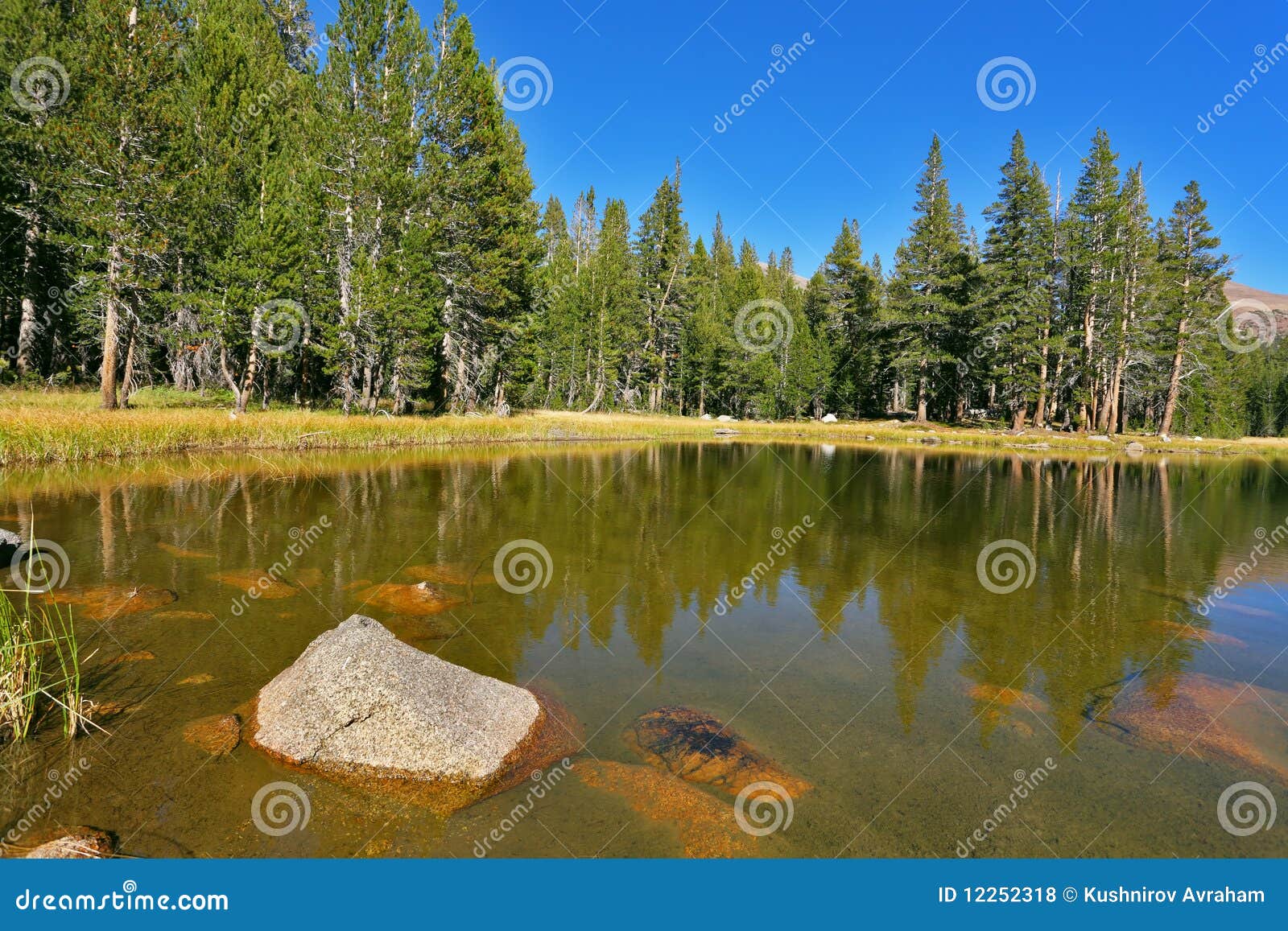The beautiful lake stock photo. Image of beauty, landscape - 12252318