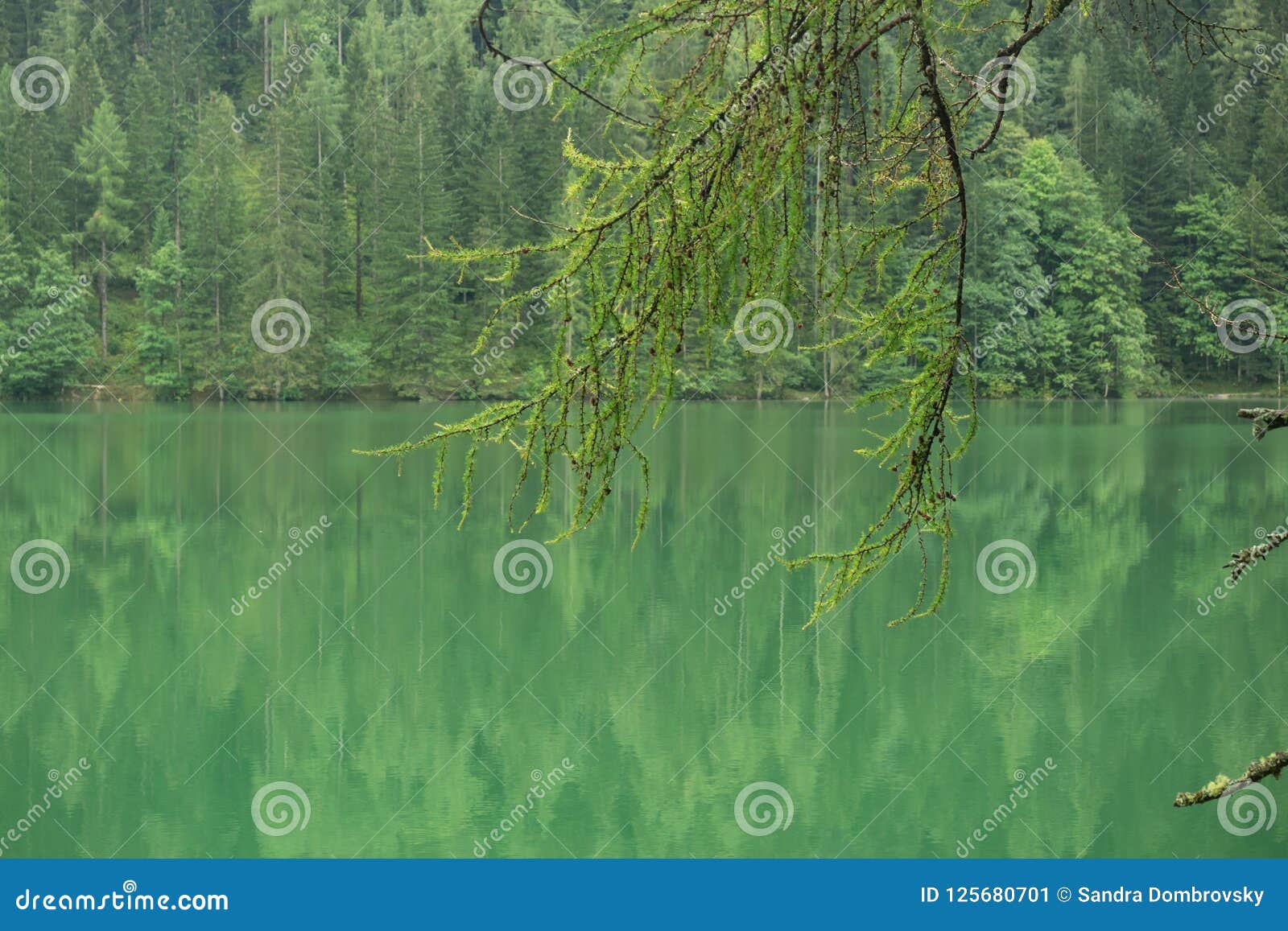 Beautiful Lake in Austria, Gleinkersee in Austria Stock Image - Image ...
