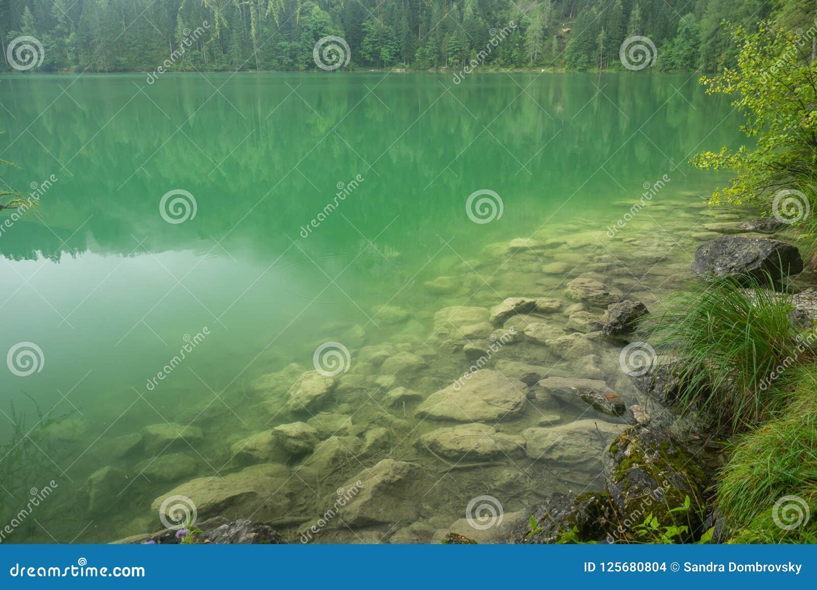 Beautiful Lake in Austria, Gleinkersee in Austria Stock Photo - Image ...