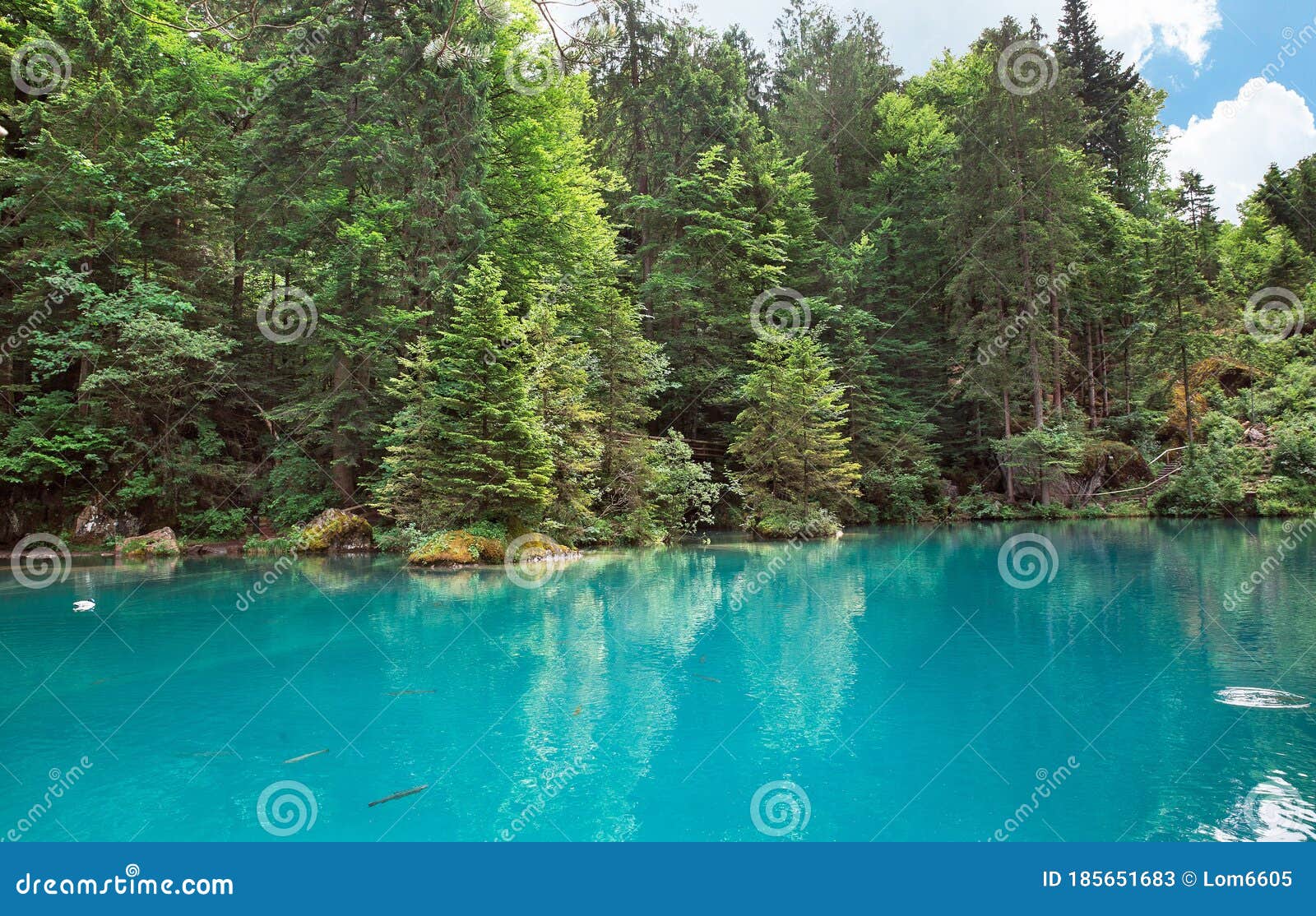 Lake Blausee in Switzerland Stock Image - Image of mountain, scenic ...